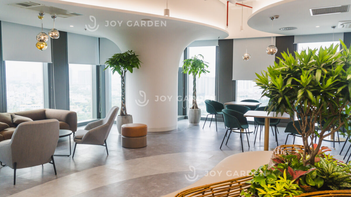 Prudential TP.HCM - Joy Garden