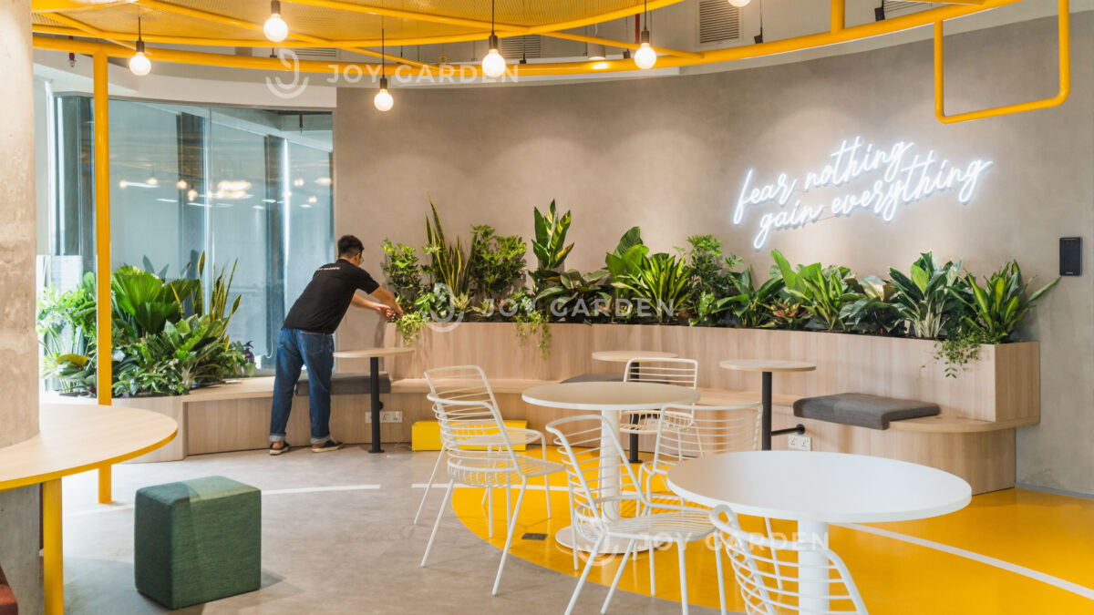 Prudential TP.HCM - Joy Garden